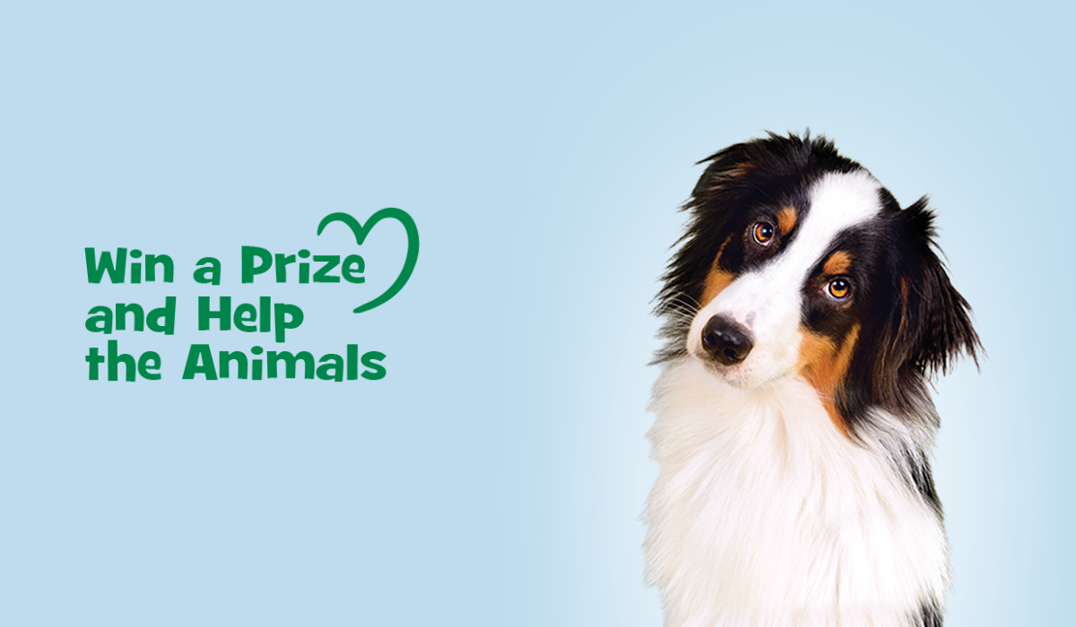 BIG PRIZE DRAW - Zagreb East